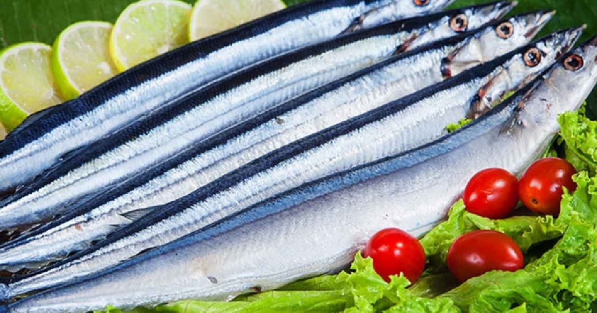 Thấy 5 loại cá này không mua sẽ 'tiếc hùi hụi', hội tụ đủ các yếu tố ...