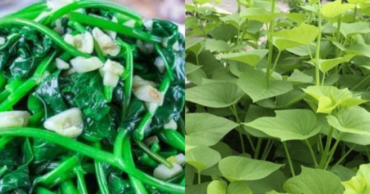 Rau lang: Loại rau rẻ tiền tốt như 'thần dược', kẻ thù của ung thư - Tinmoi