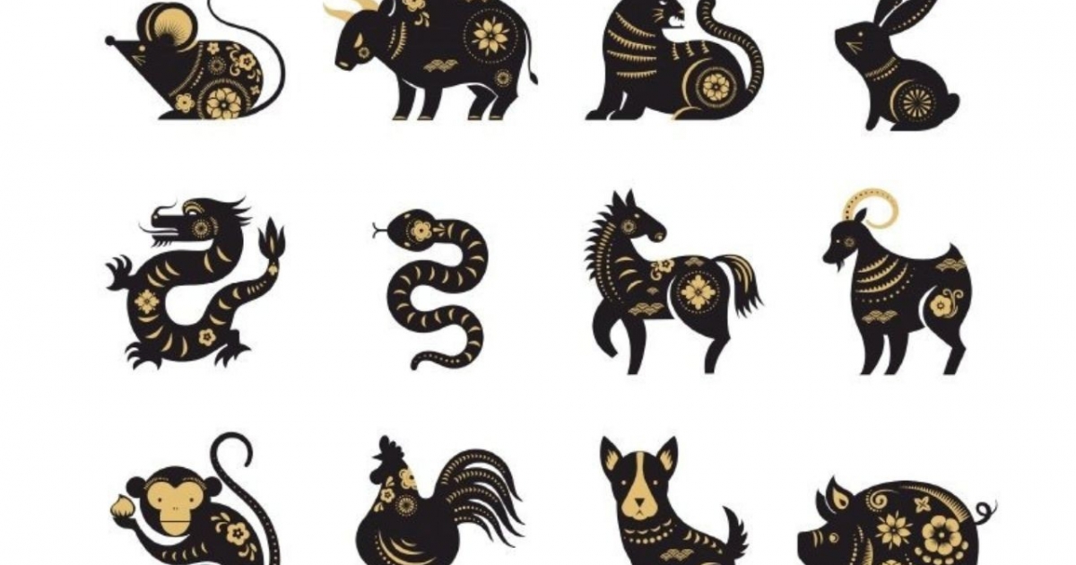 Tử vi 12 con giáp hôm nay ngày 1/12/2023: Tuổi Dần nóng nảy hại thân ...