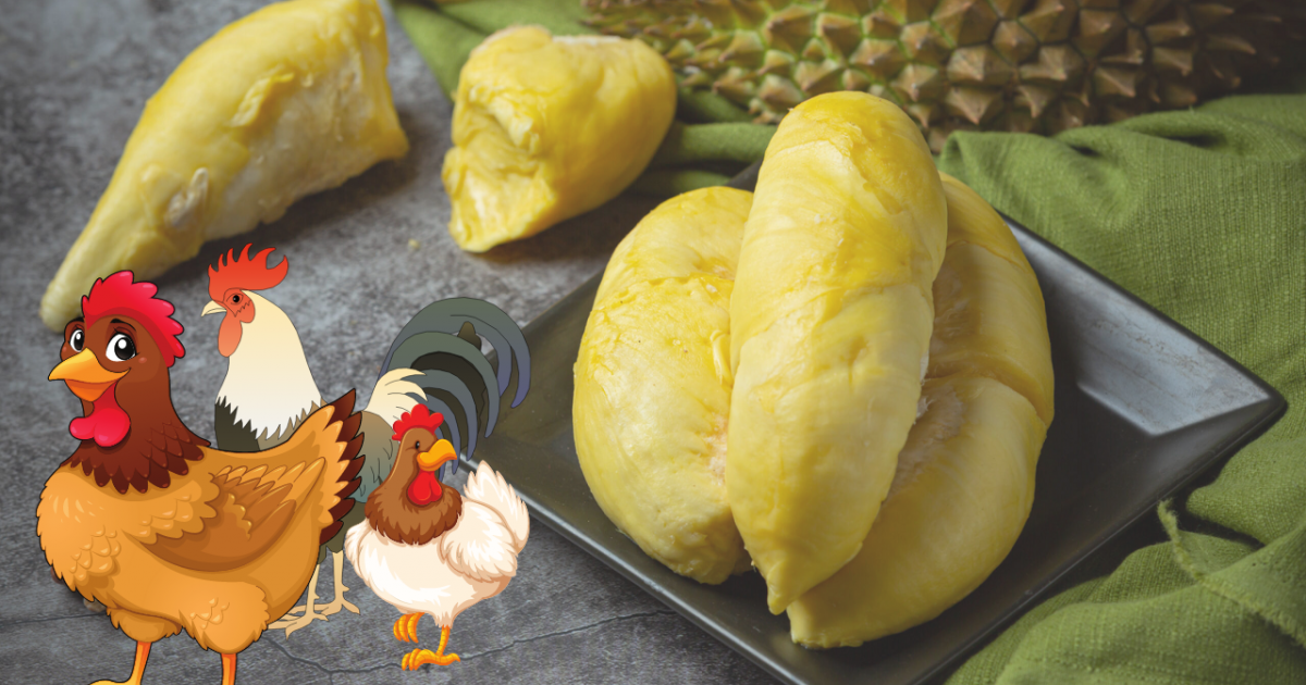 Rần rần trend ăn gỏi gà sầu riêng, nhưng ít ai biết tác hại khôn lường ...